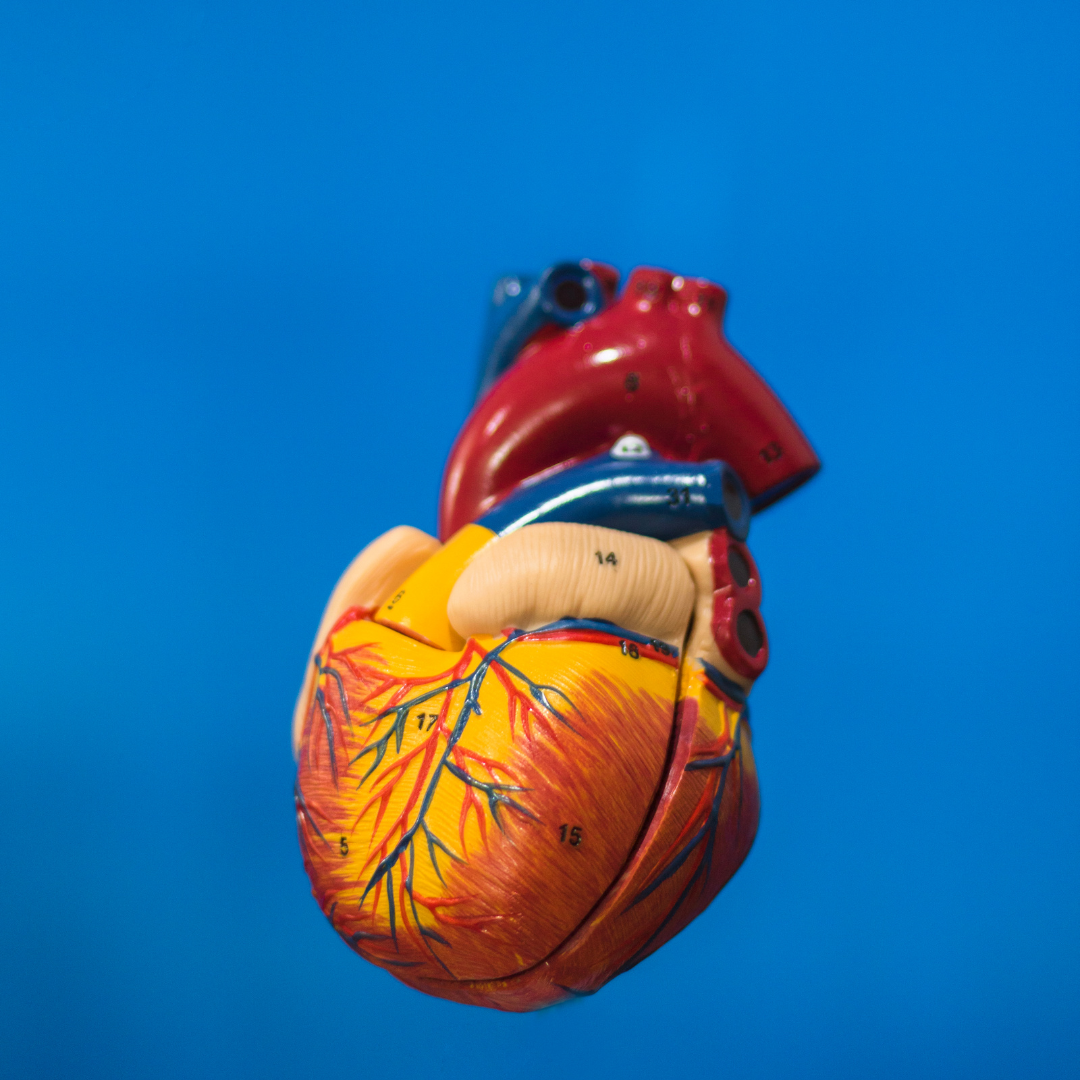 Adagio Medical reports findings from ventricular tachycardia study